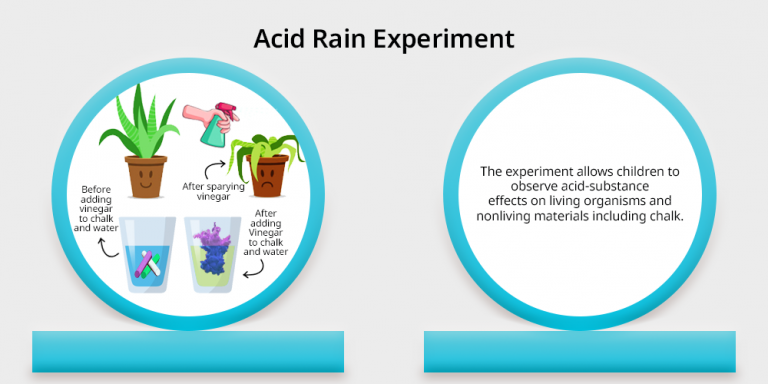 Fun & Easy Science Experiments for Class 3 Kids