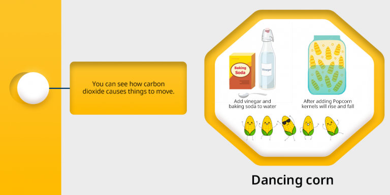 Simple & Fun Science Experiments for Class 1 Kids