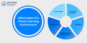 Virtual Learning Environment: Definition, Use & Examples