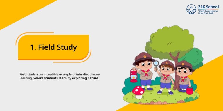 What Is Interdisciplinary Learning? A Modern Guide